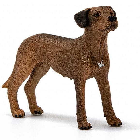 Köp Schleich Rhodesian Ridgeback Hund 13895 - Leksakscity.se